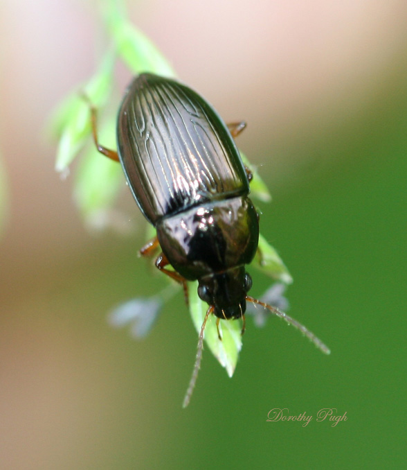 April 2016 Photos