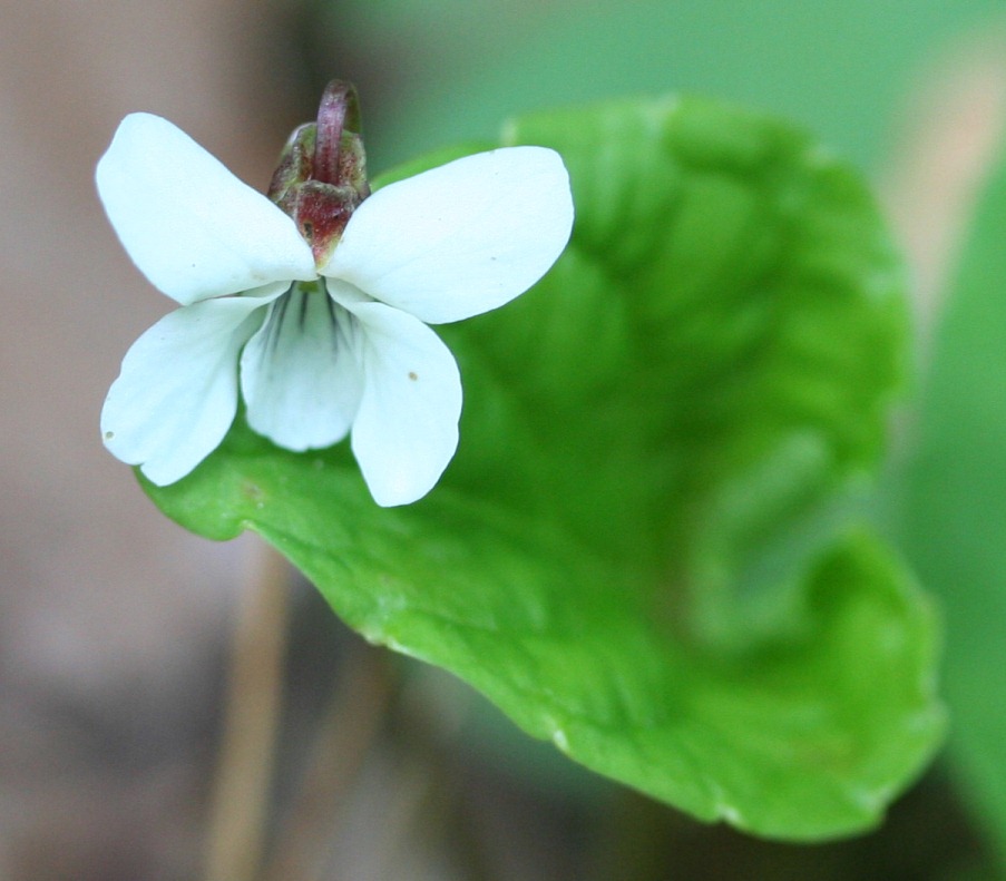 April 2012 Photos