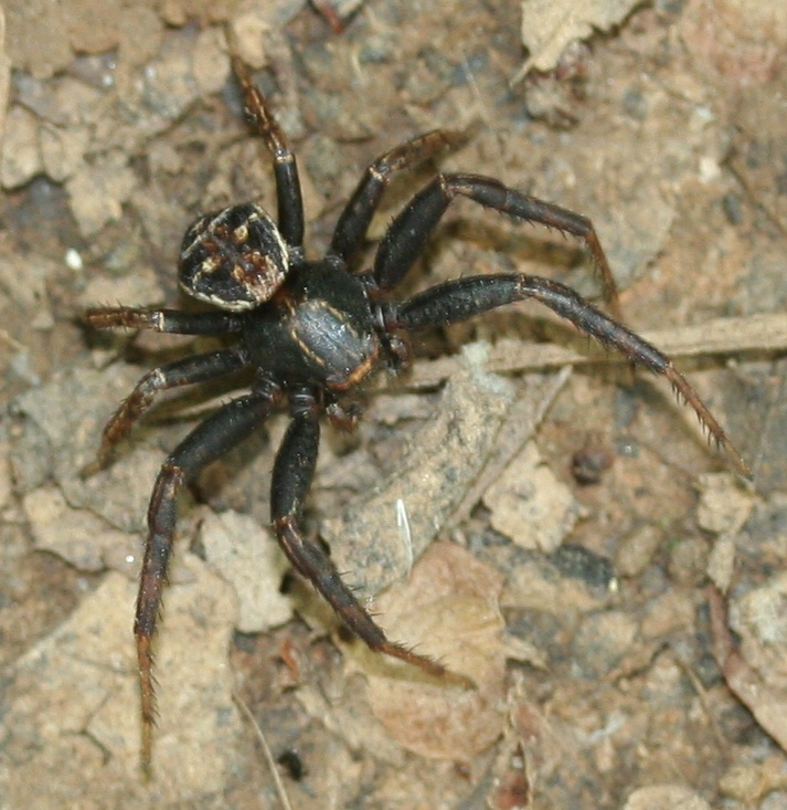 Johnston Mill Nature Preserve