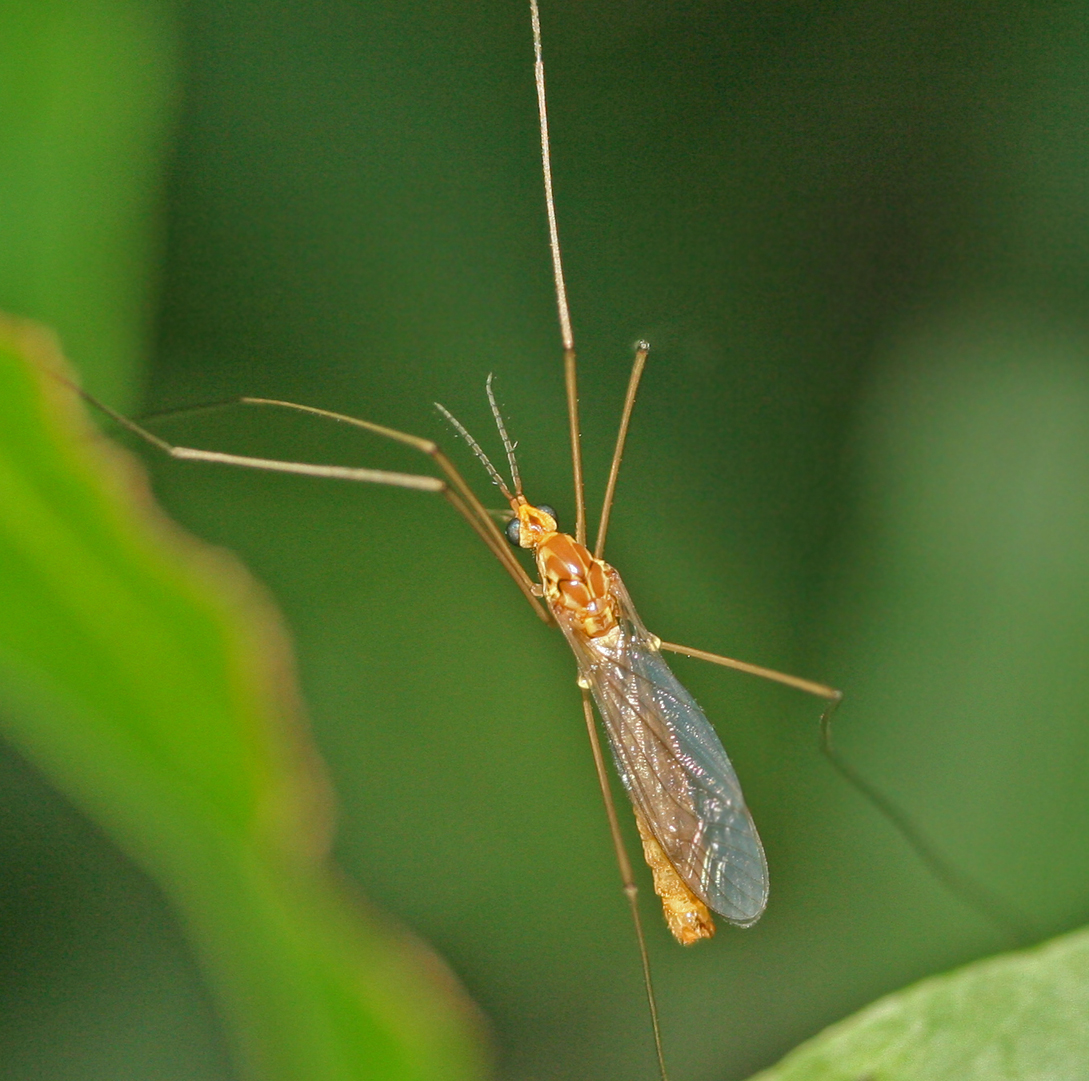 July 2015 Photos