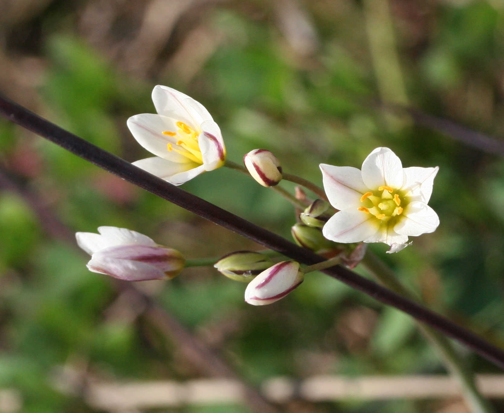 February 2014 Photos