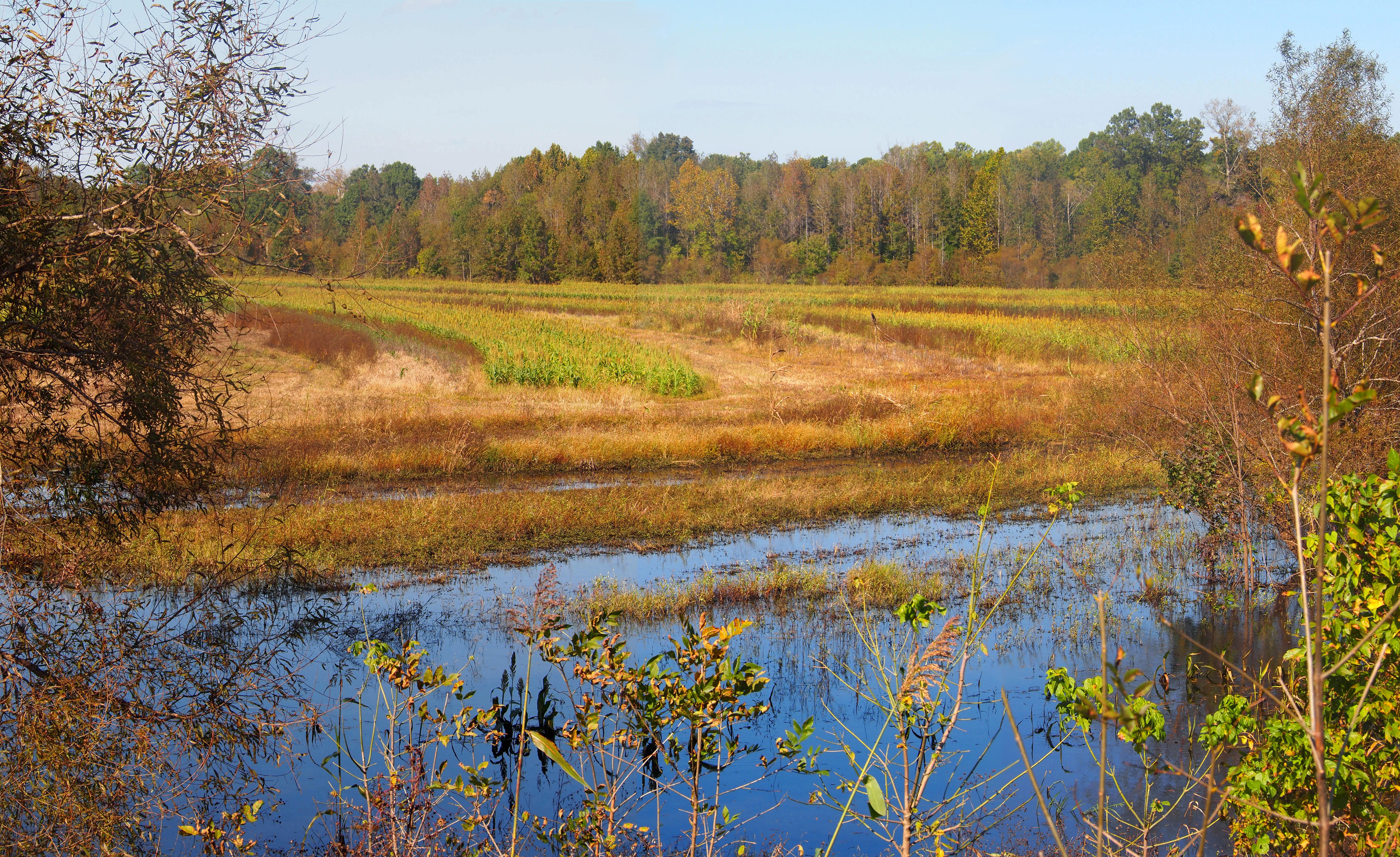 October 2014 Photos