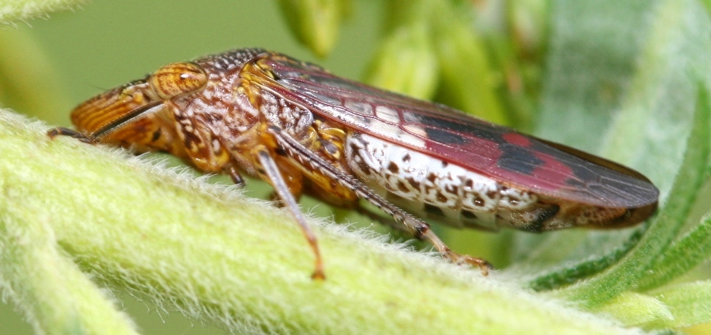 September 2008 Photos