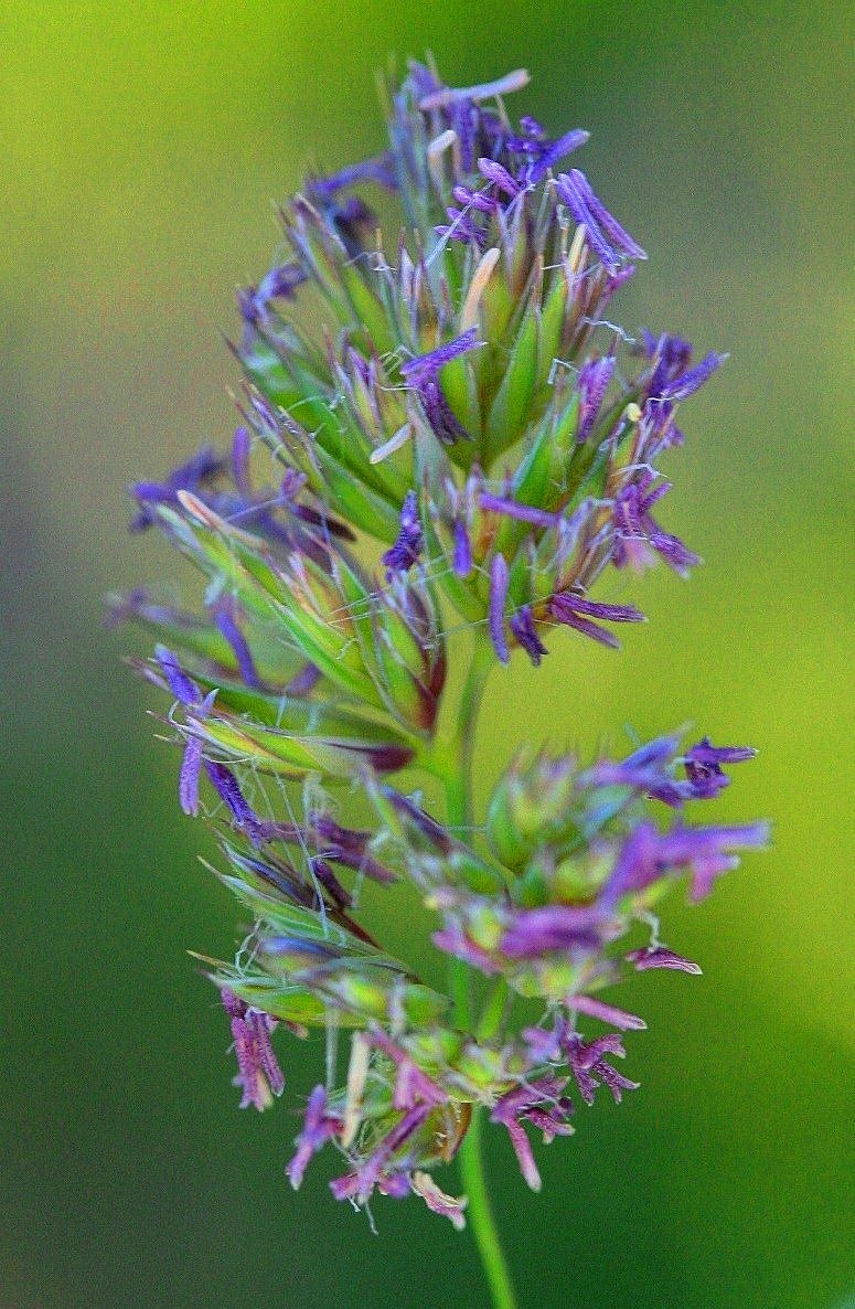 April 2012 Photos