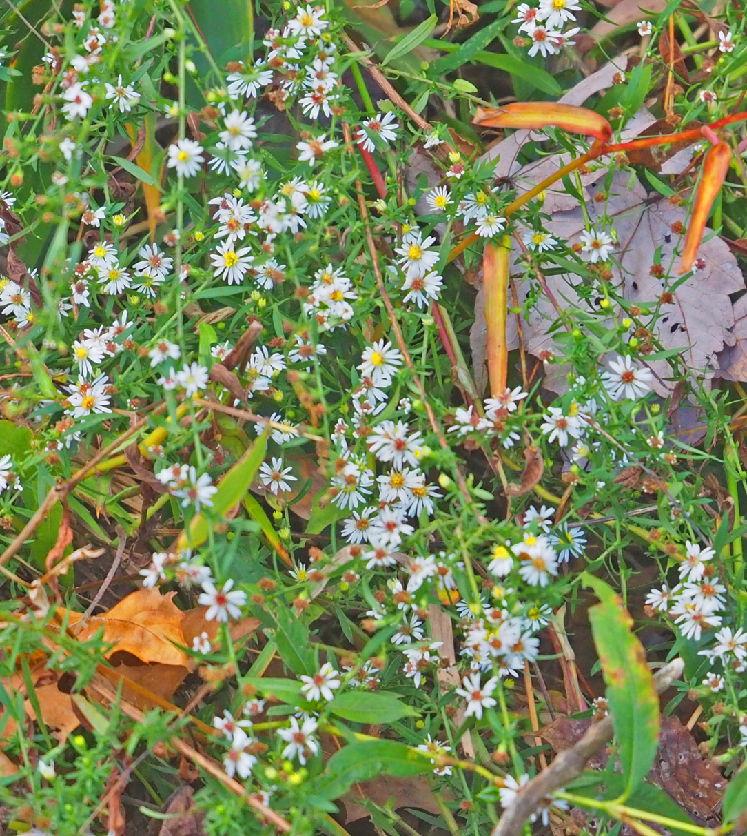 October 2019 Photos
