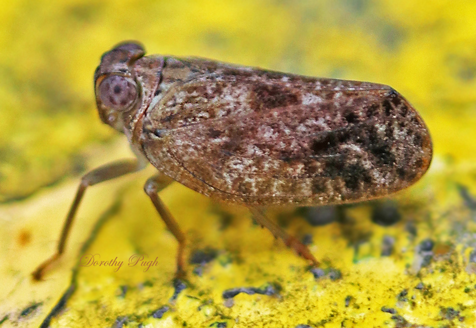 September 2019 Photos