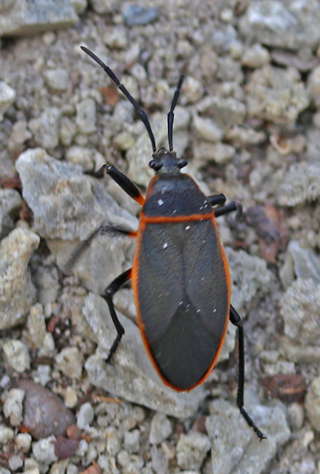 Goose Creek State Park