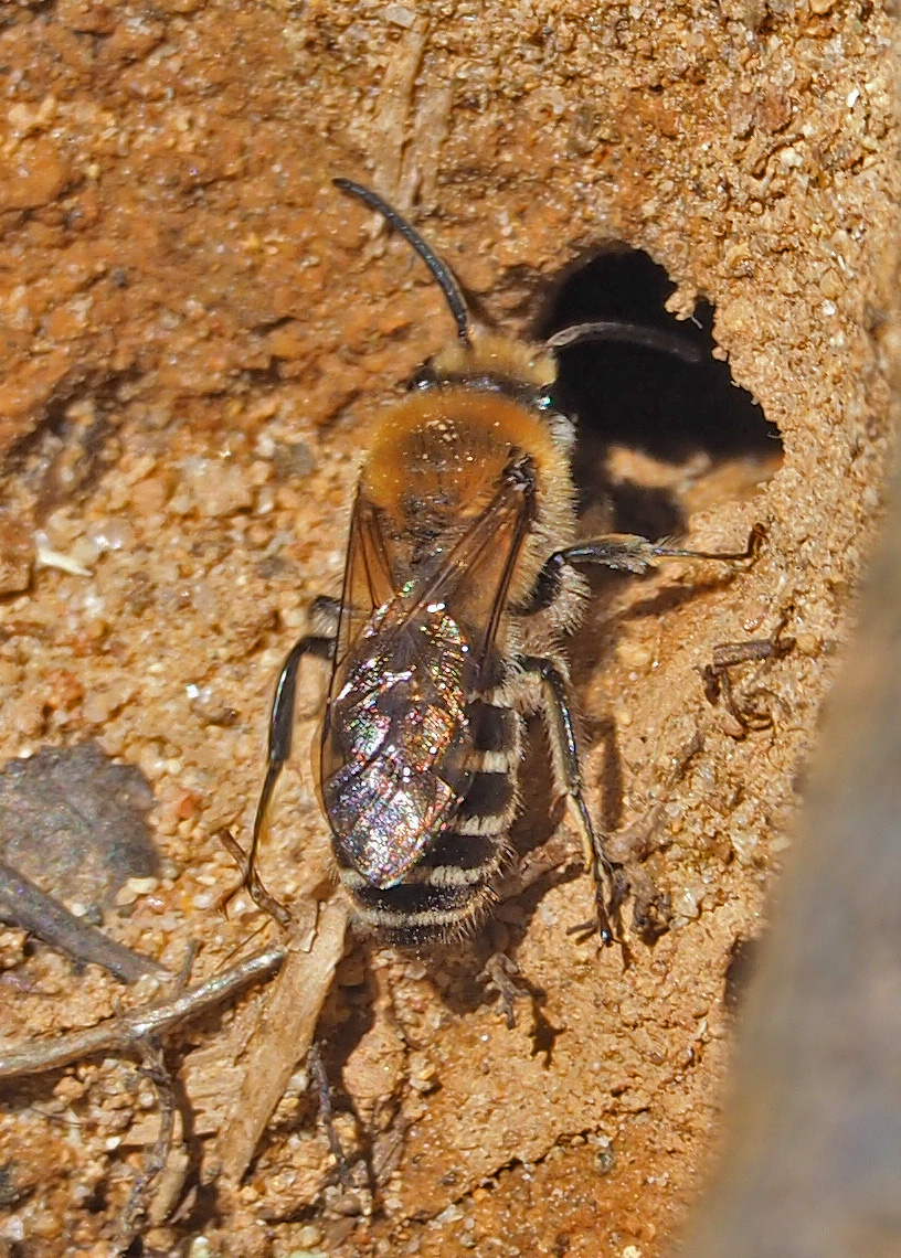 Eno River State Park