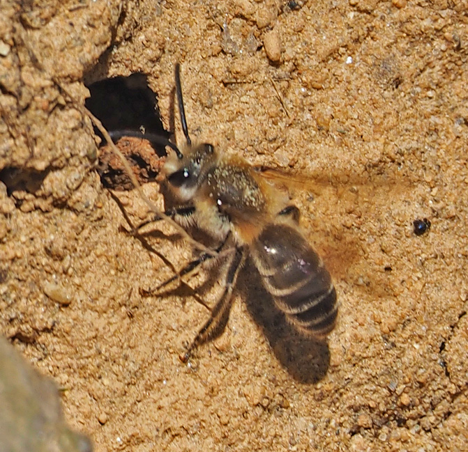 Eno River State Park