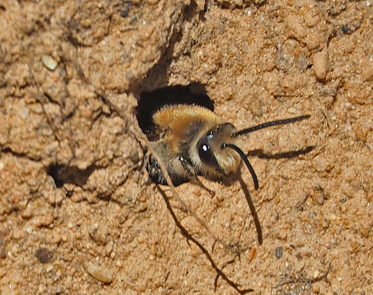 Eno River State Park