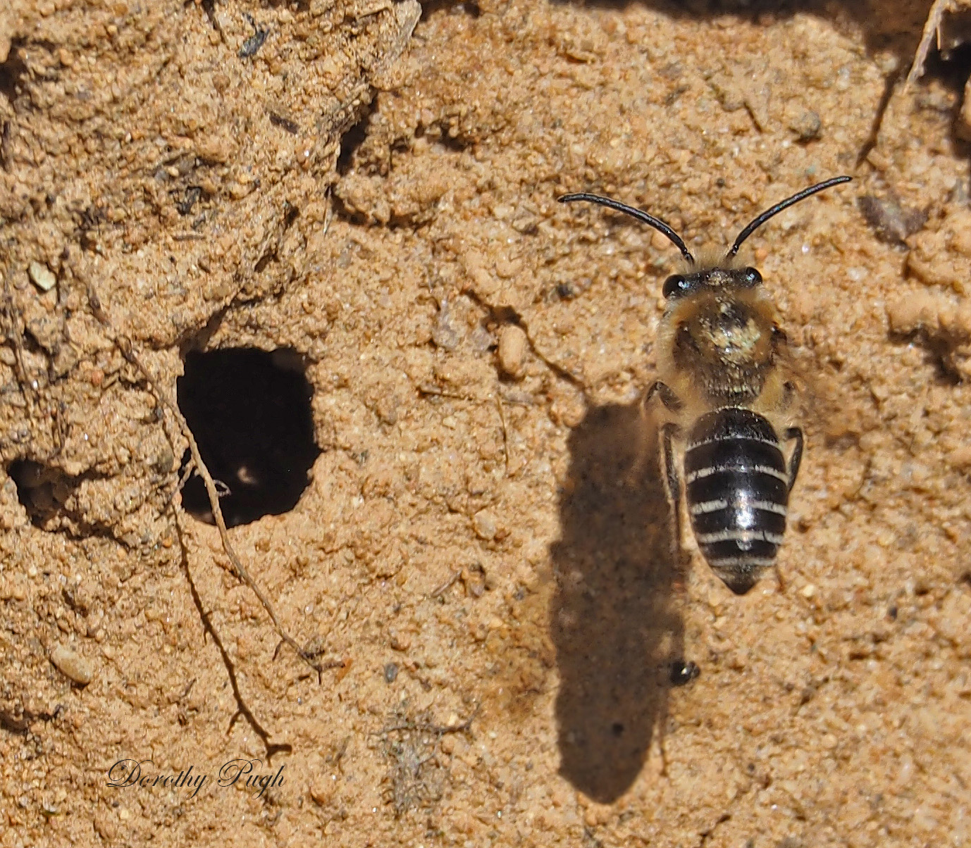 Eno River State Park