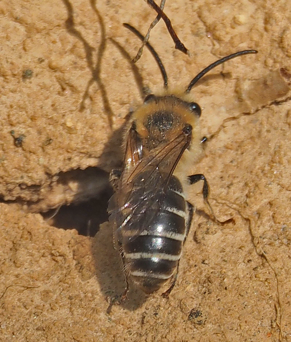 Eno River State Park
