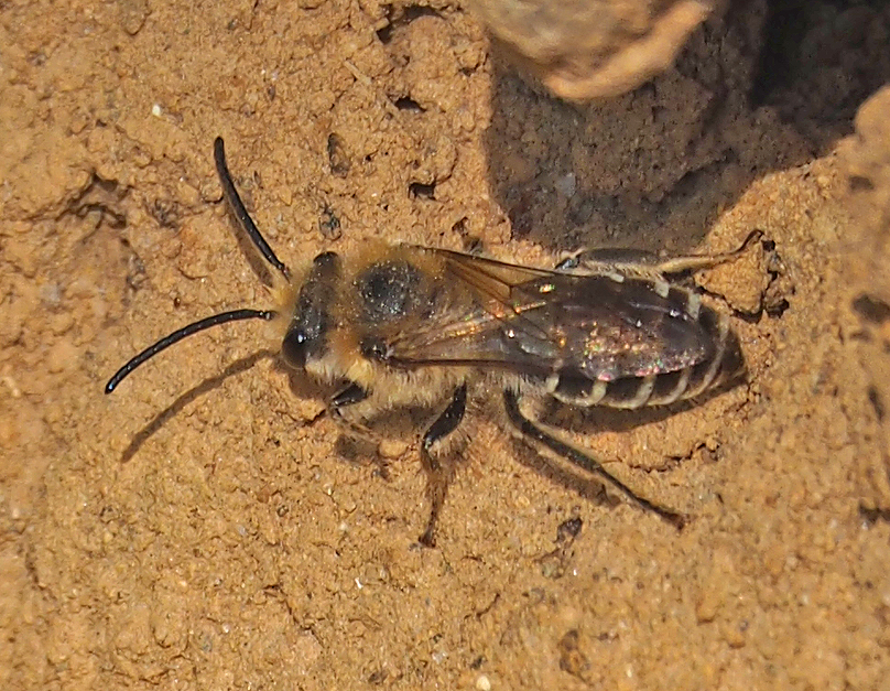Eno River State Park