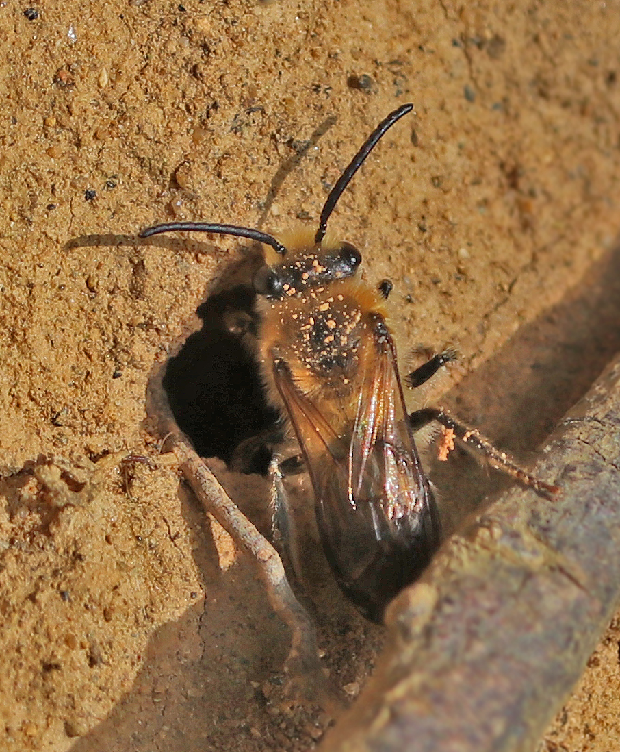 Eno River State Park