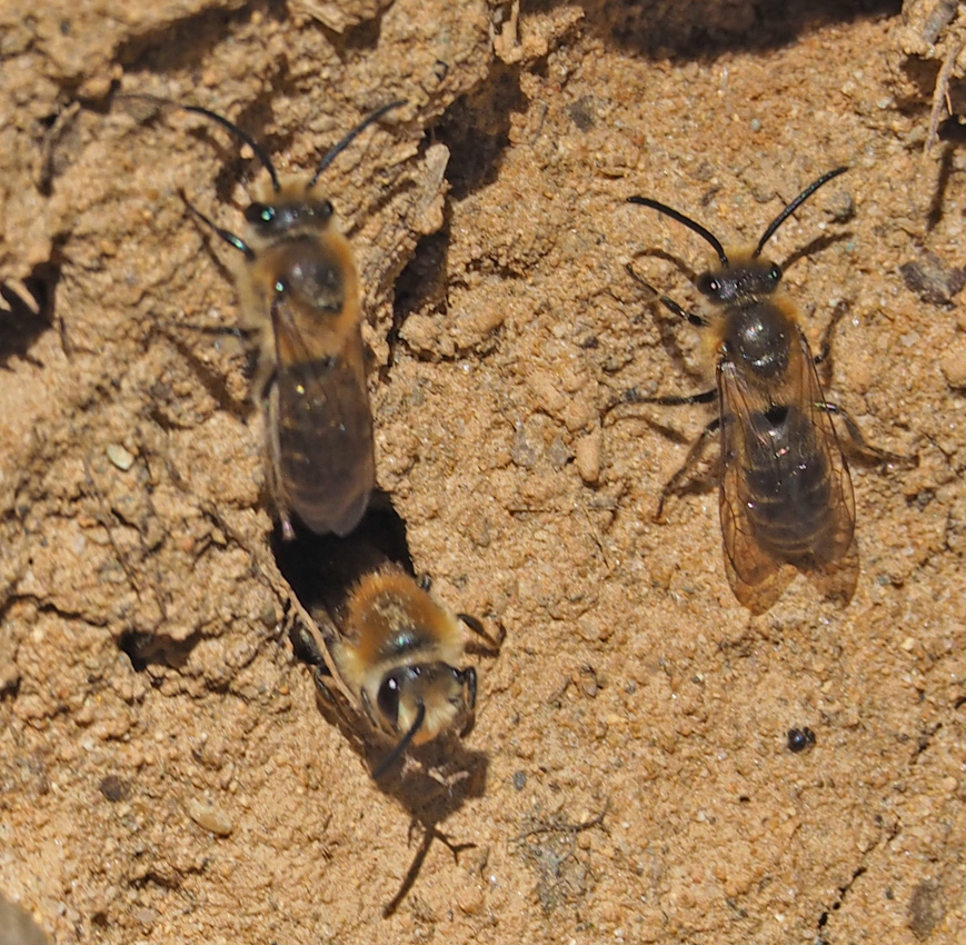 Eno River State Park