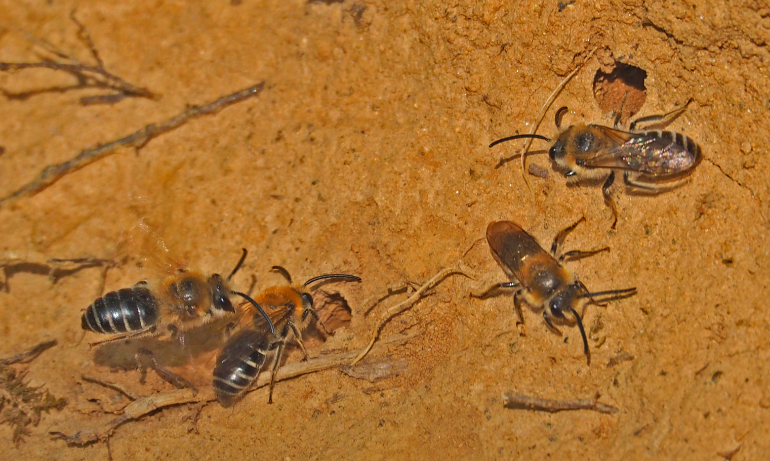 Eno River State Park