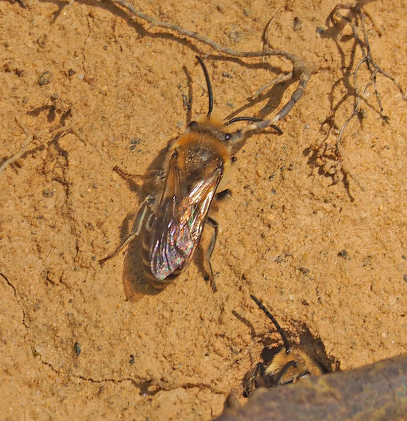 Eno River State Park