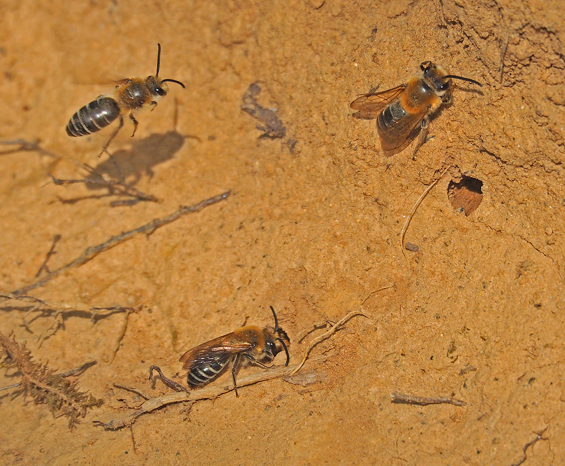 Eno River State Park