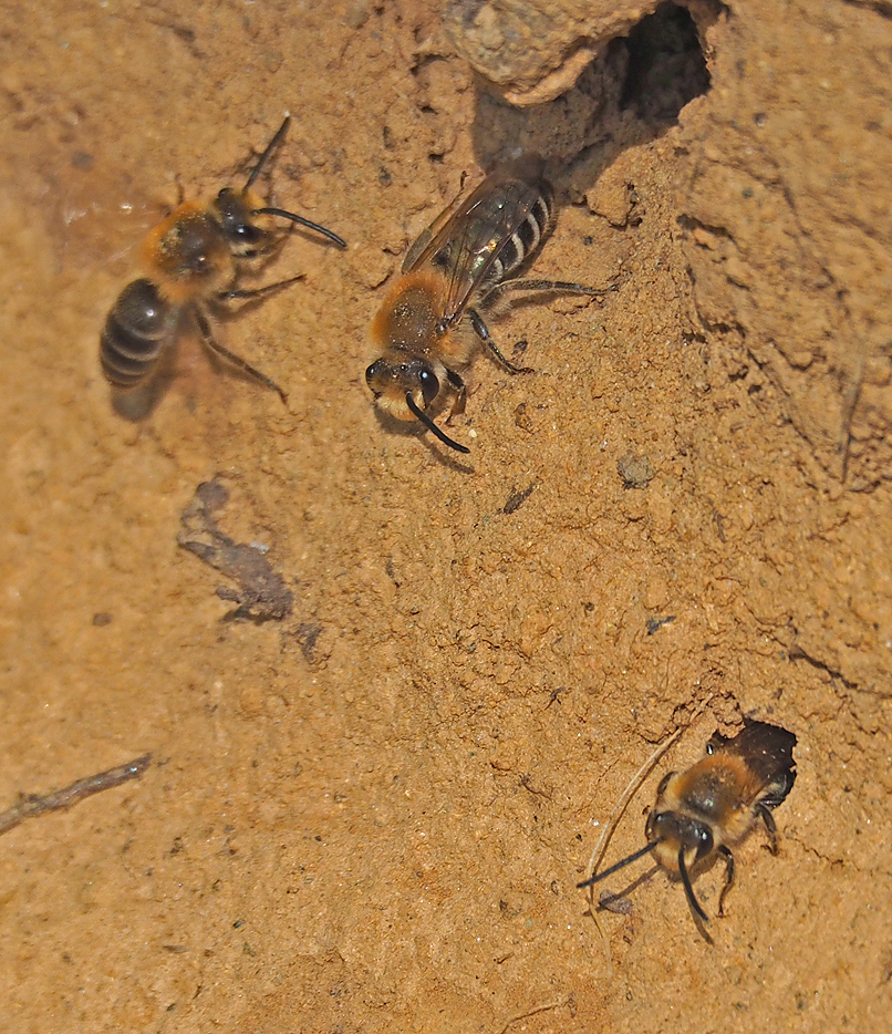 Eno River State Park