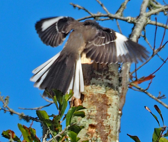 Bay St. Louis and Waveland, MS