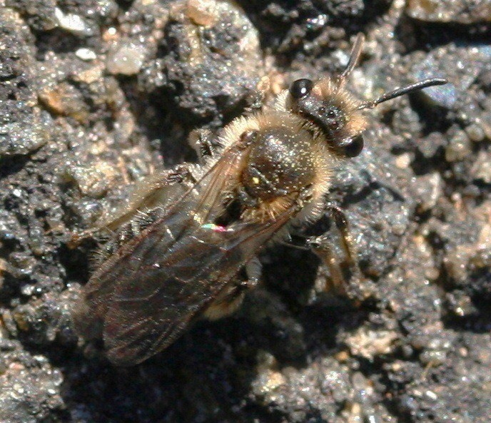 January 2012 New Photos