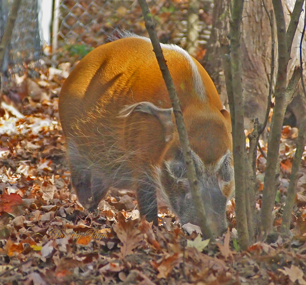 November 2014 Photos