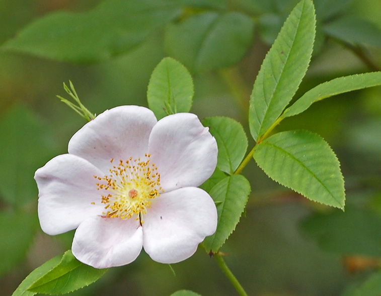 June 2013 Photos