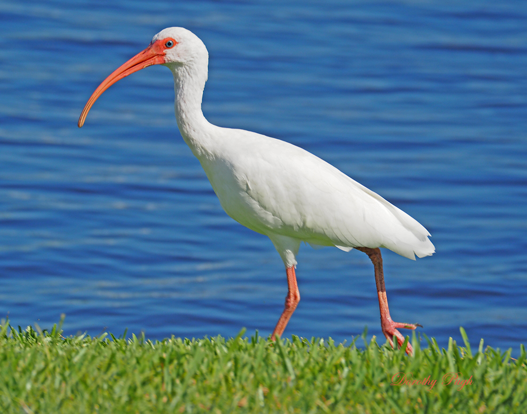 September 2017 Photos