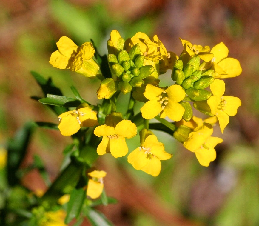 April 2013 Photos