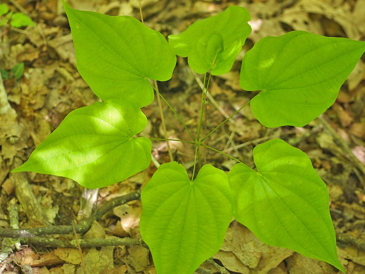 May 2013 Photos